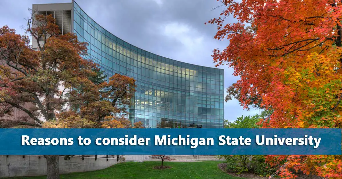 50-50 Profile: Michigan State University – Do It Yourself College Rankings