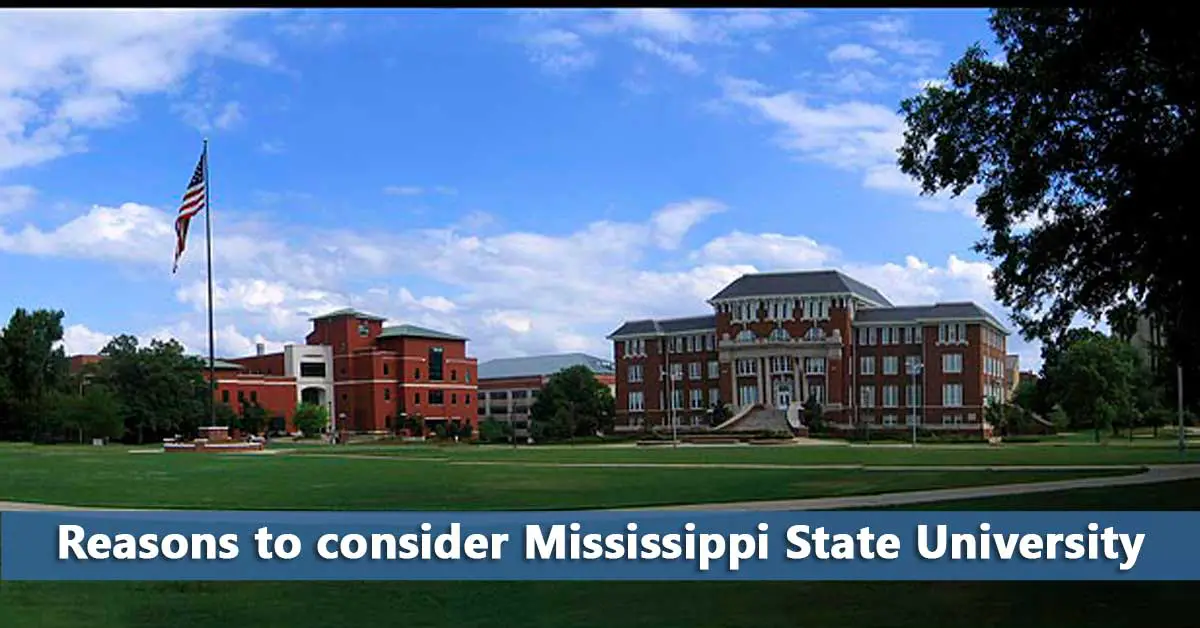 50-50 Profile: Mississippi State University – Do It Yourself College ...