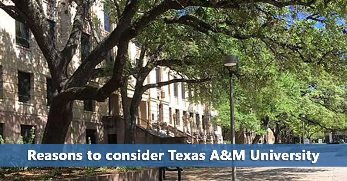 50-50 Profile: Texas A & M University – Do It Yourself College Rankings