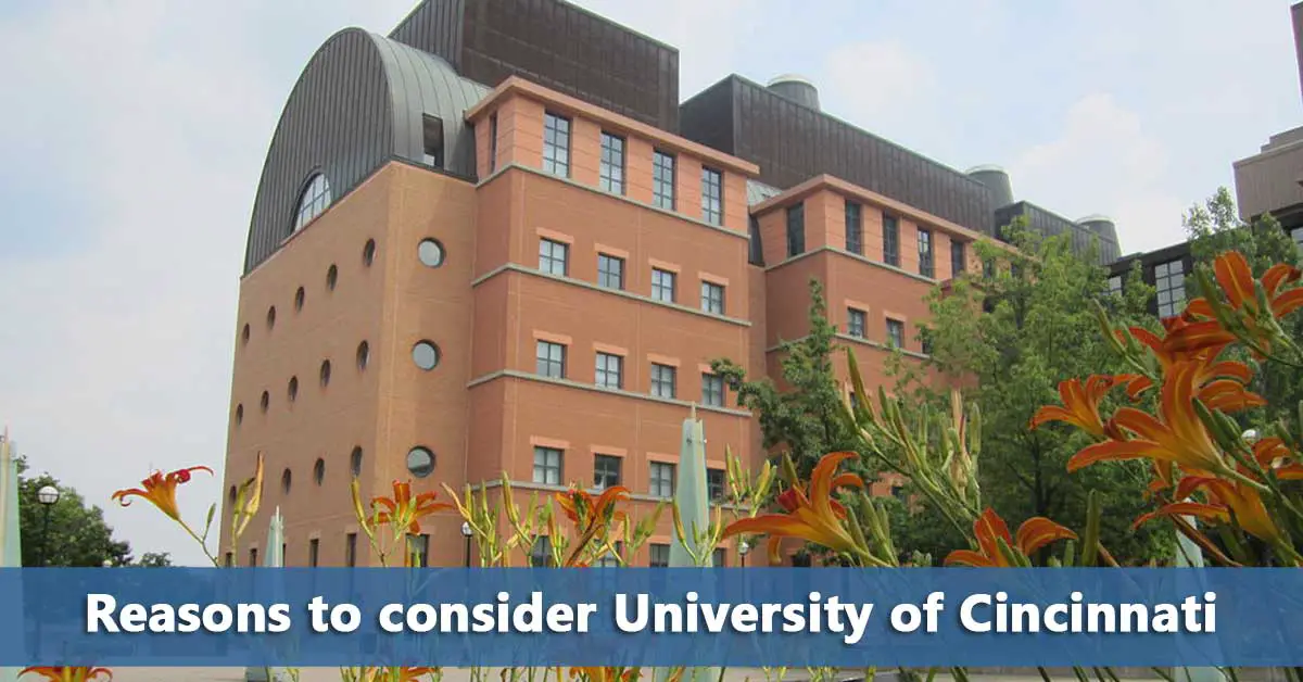 5 Essential University of Cincinnati Facts - Do It Yourself College ...