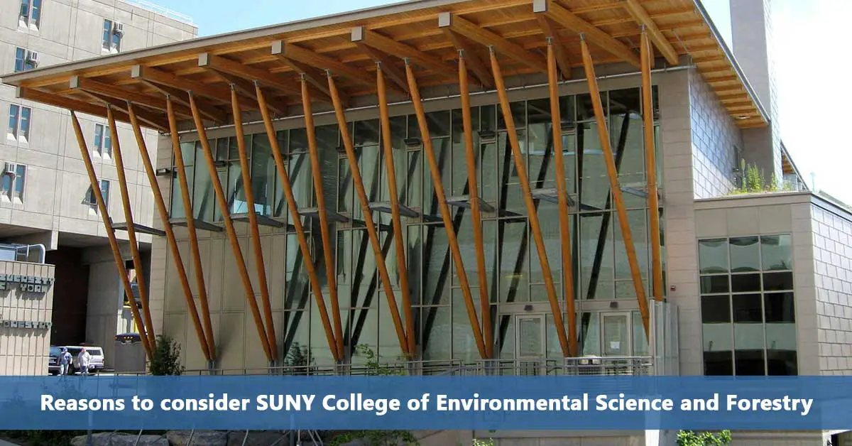 5 Essential SUNY College of Environmental Science and Forestry Facts ...