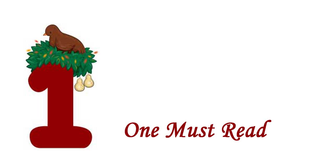 12 Days of Christmas 2020: Day 1 – Do It Yourself College Rankings